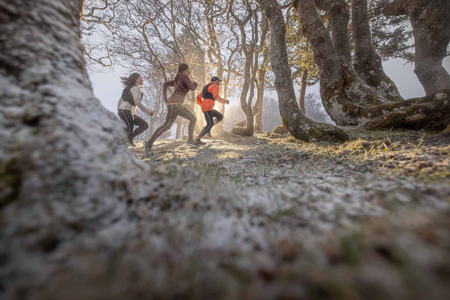 Sports Experts Lebanon